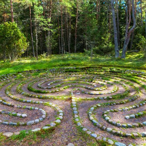 Programs and Retreats - Magnificent Life